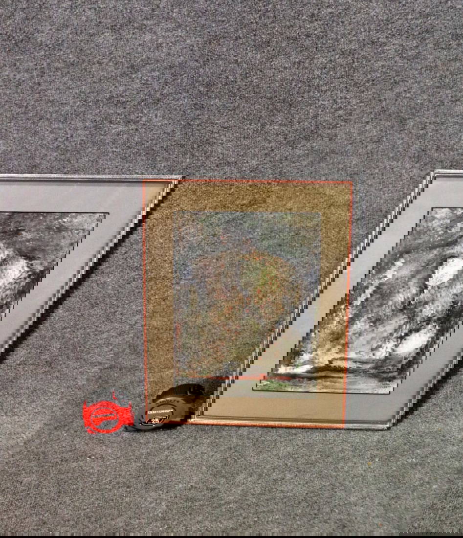 Meera Devidayal Untitled Trees Gouache On Paper Auction