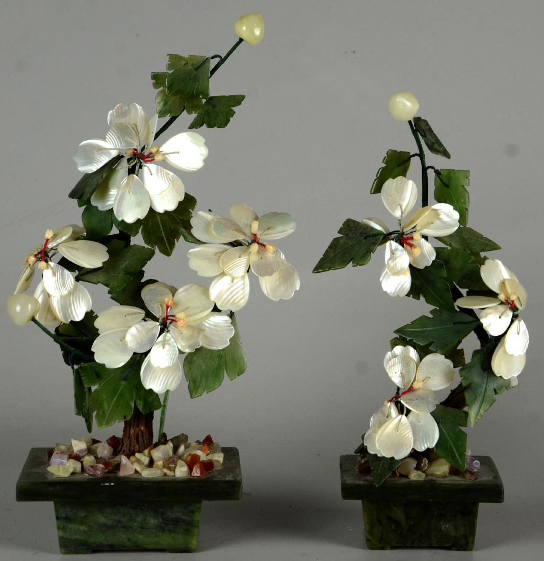 Pr Jade Trees With Mop Flowers