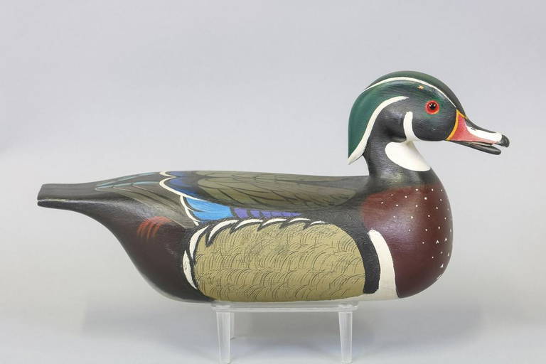 Joseph "buckeye Joe" Wooster Wood Duck Drake