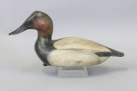 Ward Brothers Duck Print