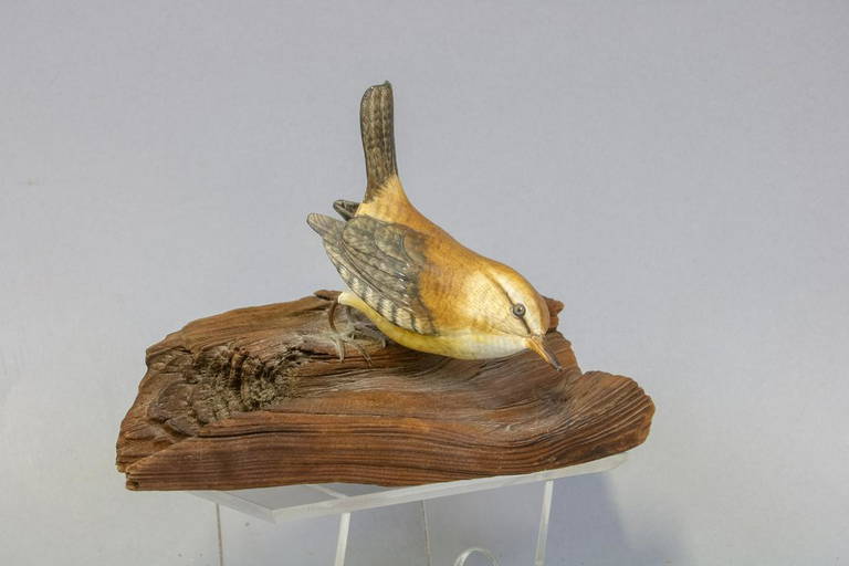 Thomas W. Carlock Yellow Billed Cuckoo, Glass - Aug 04, 2019 ...