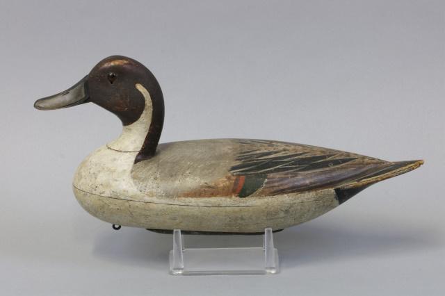 Rare Stephen Lane Pintail Drake Duck Decoy, Rare Stephen Lane Pintail Drake Duck Decoy,