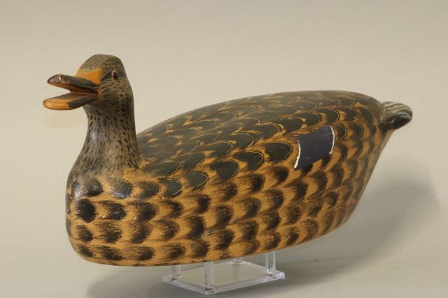 Artie Bennett (arthur Behemetuik) Mallard Hen Duck