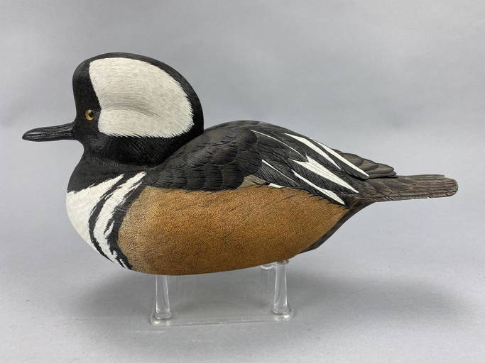 Mike & Nancy Scherer Hooded Merganser Drake