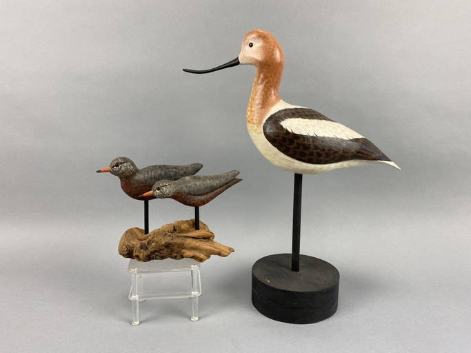 3 Mike And Nancy Scherer Shorebirds