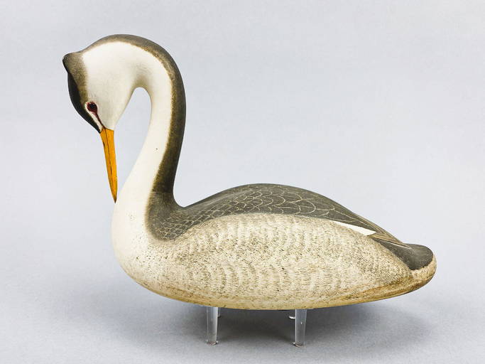 Harold Haertel Western Grebe Duck Decoy