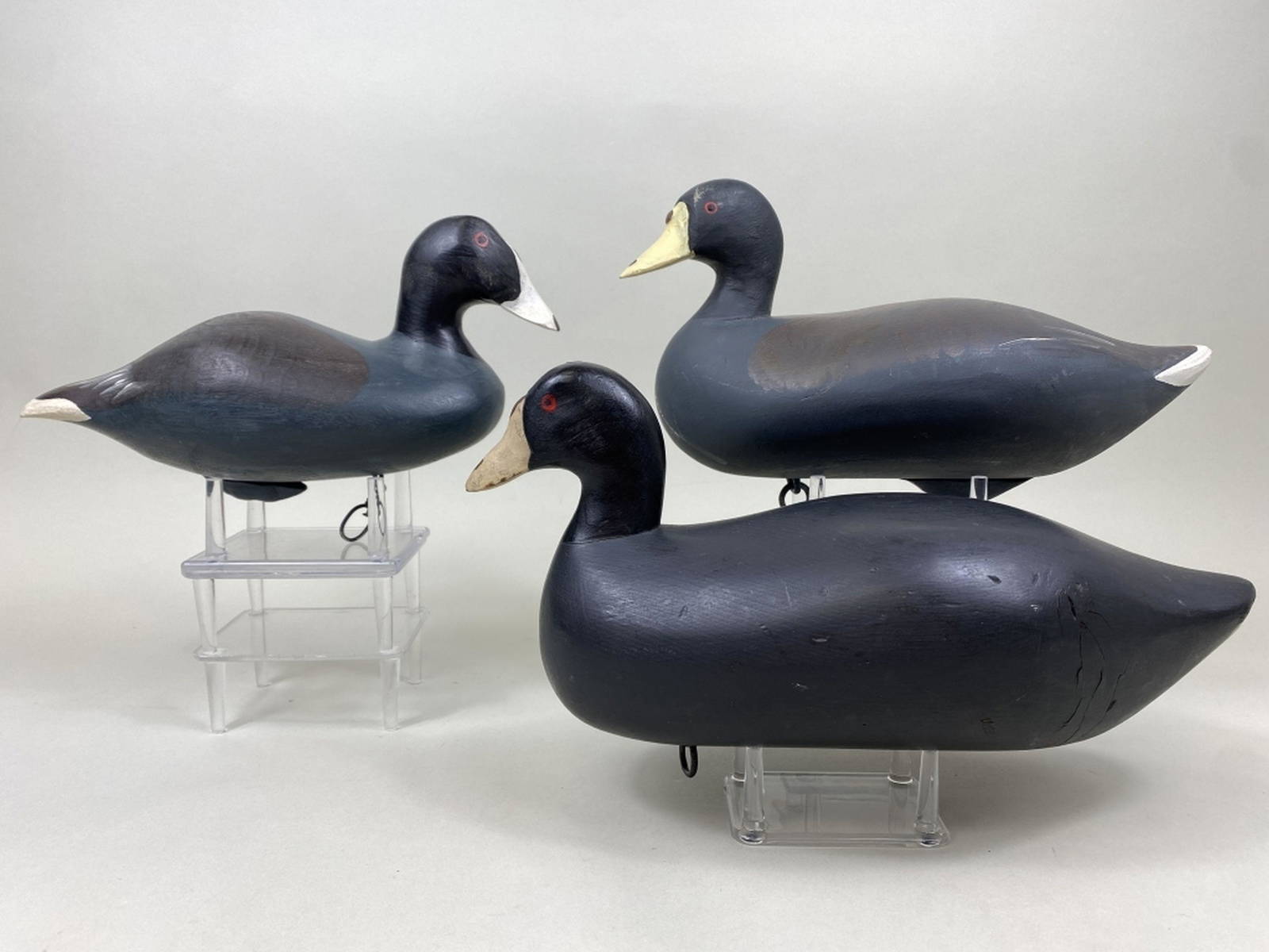 3 Coot Decoys Auction