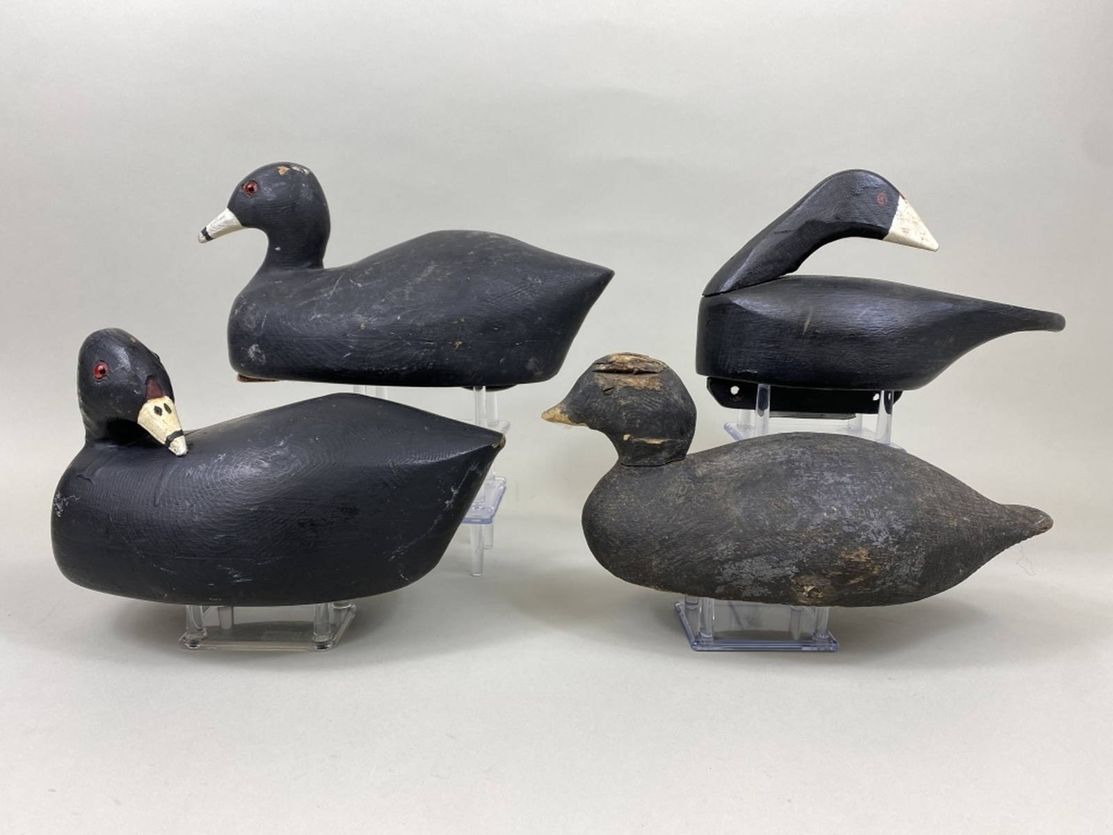 4 Coot Duck Decoys Auction