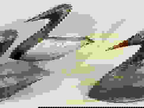 Early Andy Anderson Pr Of Canvasback Duck Decoys Auction