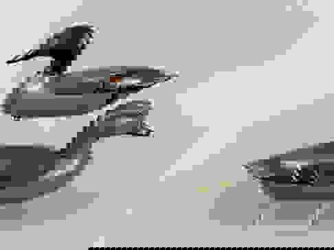 Charles Perdew Style Pr Of Green-winged Teal Auction