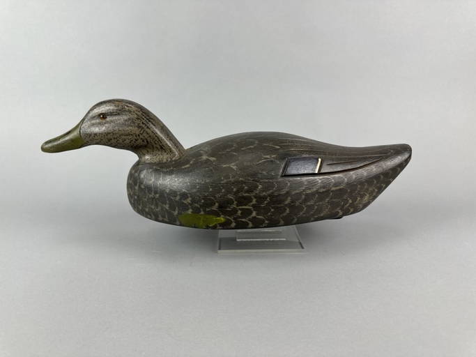 David Simandl Black Duck Decoy