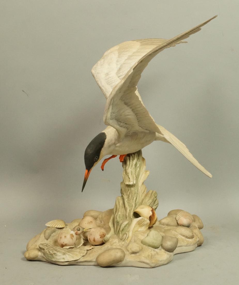Boehm American Porcelain Bird Figure. "common Ter