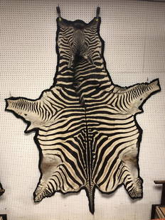 Genuine Tiger Skin Rug