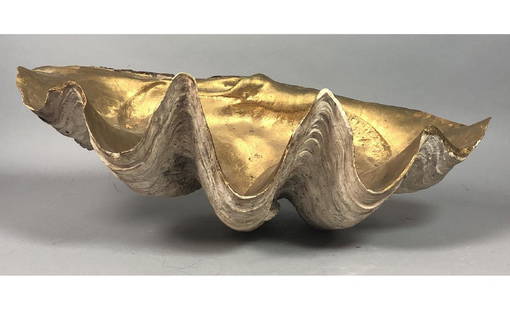 Large Clam Shell