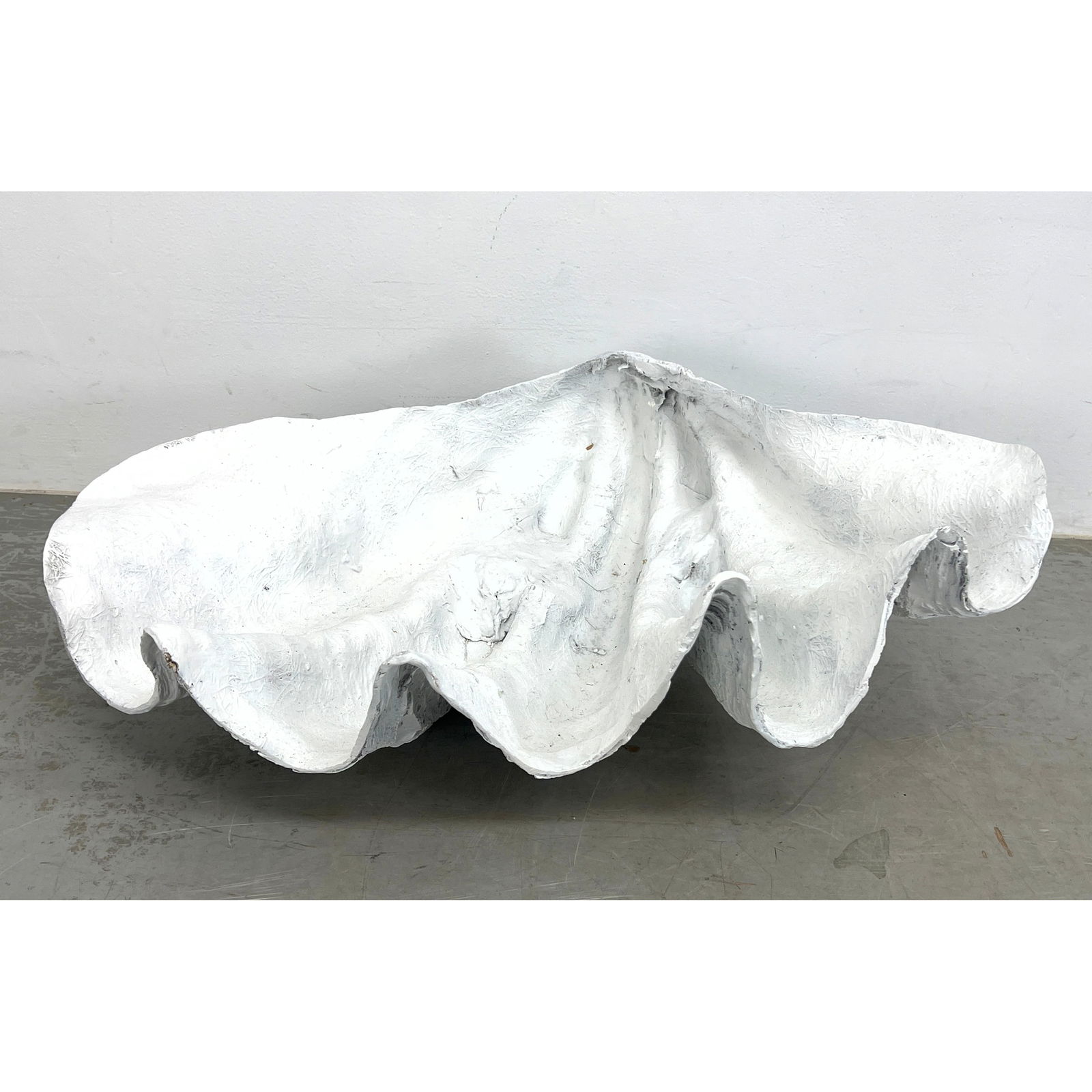 Large Faux Giant Clam Shells. Fiberglass Shell Forms With Heavy White ...