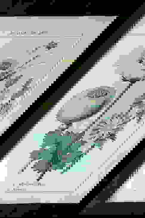 Yonge, Charlotte 1863 Folio Hand Col Botanical Print. Medicinal Poppy ...