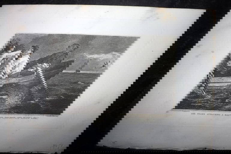 Polehampton, Edward 1823 Print. Shark Attacking A Boat, Dolphin ...