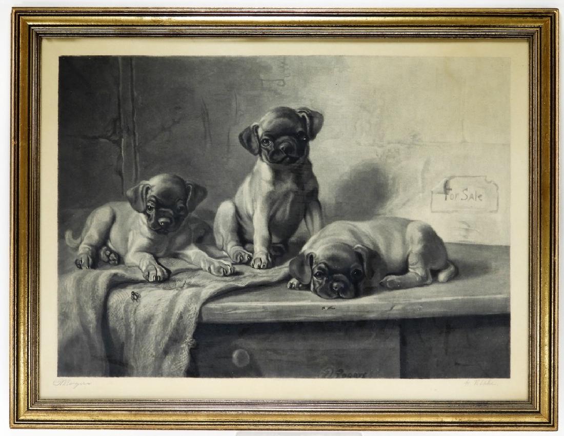 19C. H. Blake Three Boxer Puppy Dog Etching