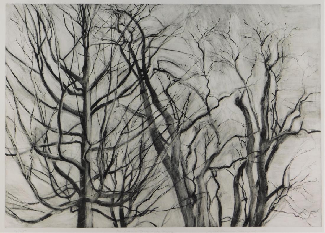 Silvia Plimack Mangold Lowest Trees Maple Etching