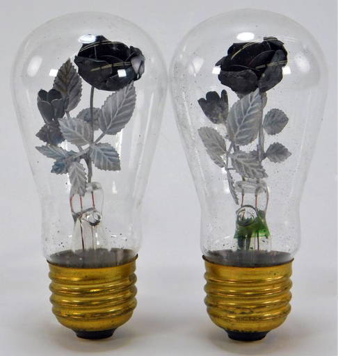 Pr Aerolux Black Rose Decorative Light Bulbs