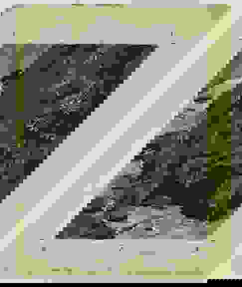 Norman Price "operator 13" Illustration Auction