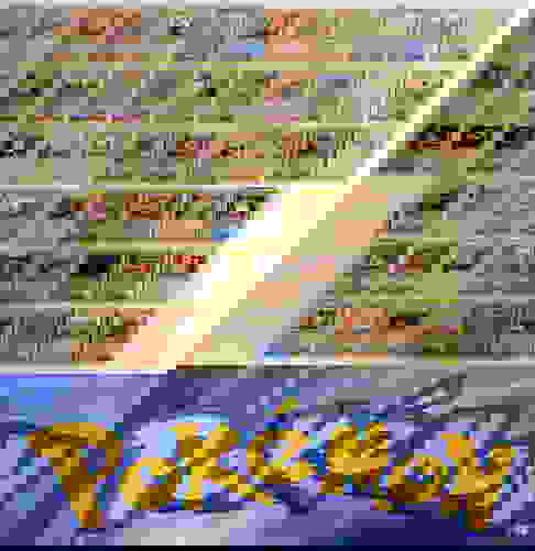 1999 Pokemon Jungle Complete Trading Card Set Auction