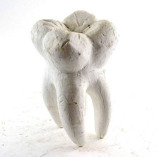Vintage Foam Molar Sculpture