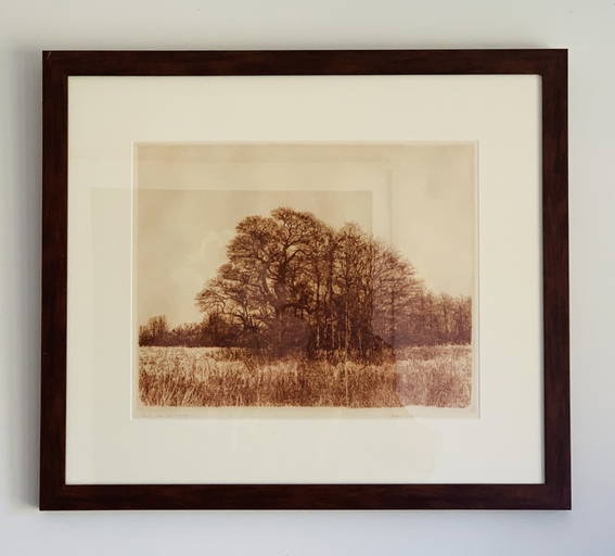 Herbert Fink, Oaks and Hideaways, Etching on Paper,1979 (#0289) on Dec ...