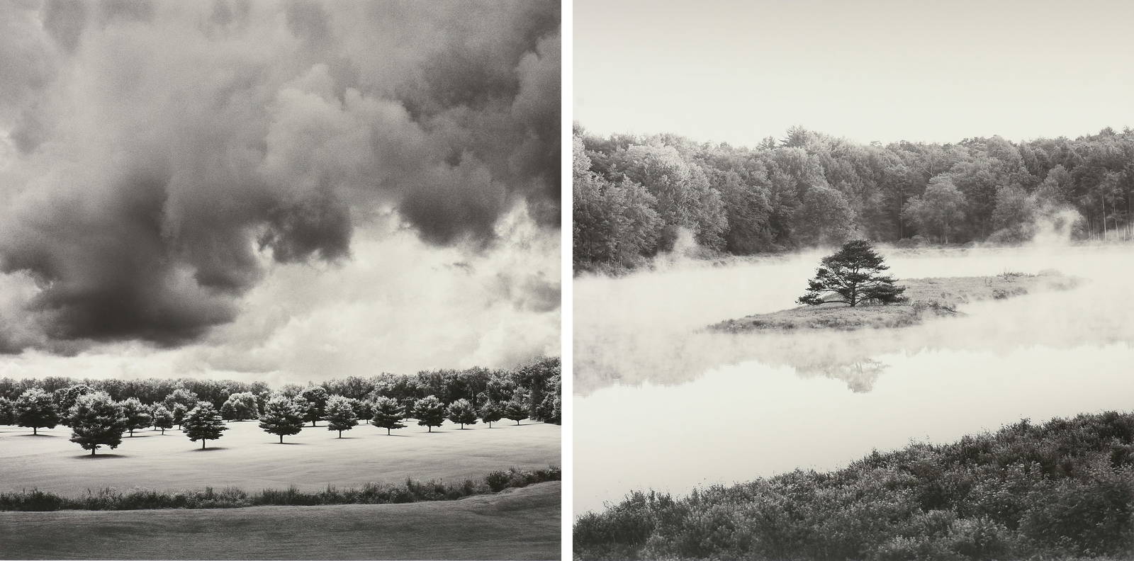 Chip Forelli, (american 1950-2022) Two Photographs, "tree Line ...