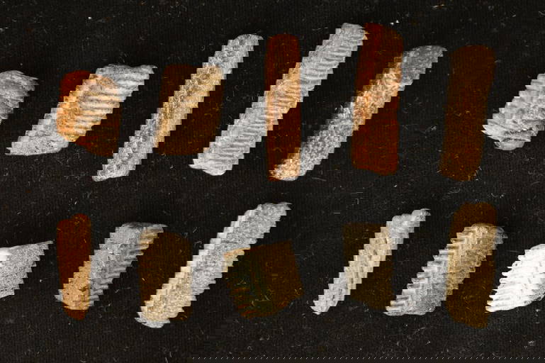 10 Shark Teeth Plates. From The Micene Era