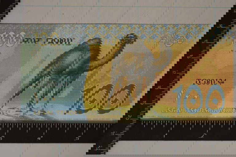 Bank Of Bir Tawil 100 Pound Cu Colorized Bill
