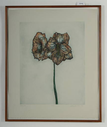 Steven Barbash, Am., 20th C., Amaryllis, Etching