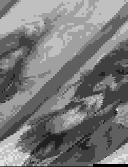 Aboriginal Man - Aranda - Photo Auction