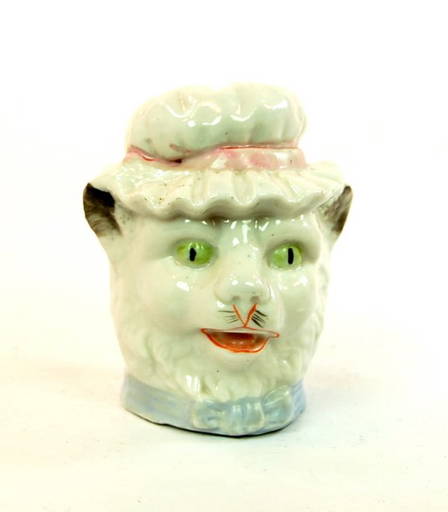 Head Of Cat In Nightcap Bank