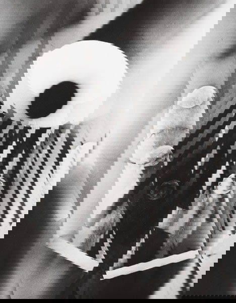 Arthur Siegel (american, 1913 1978) Photogram,