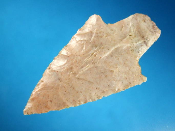 Very Fine Adena Dickson Point