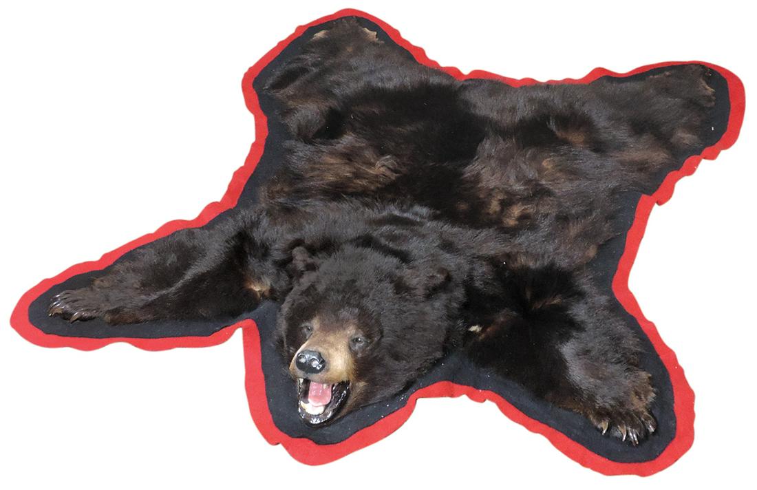 Taxidermy, bear skin rug, full head brown bear on | Barnebys