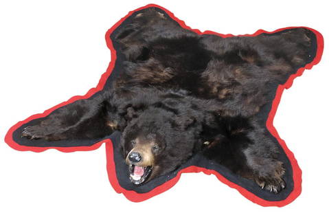 Large Brown Bear Skin Rug W/ Head & Paws