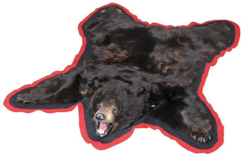 Taxidermy, bear skin rug, full head brown bear on - Nov 13, 2021 | Rich ...