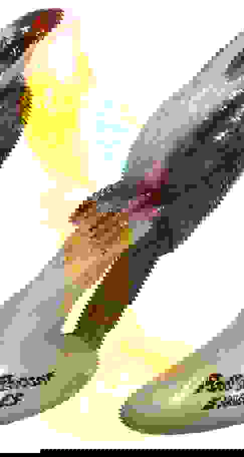 Shoe Store Display Figure, Poll Parrot Shoes, Plaster W/orig Paint, C ...