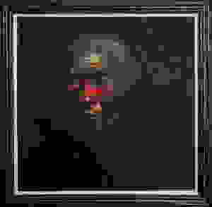 Jorge Braun Tarallo, Native American, Painting