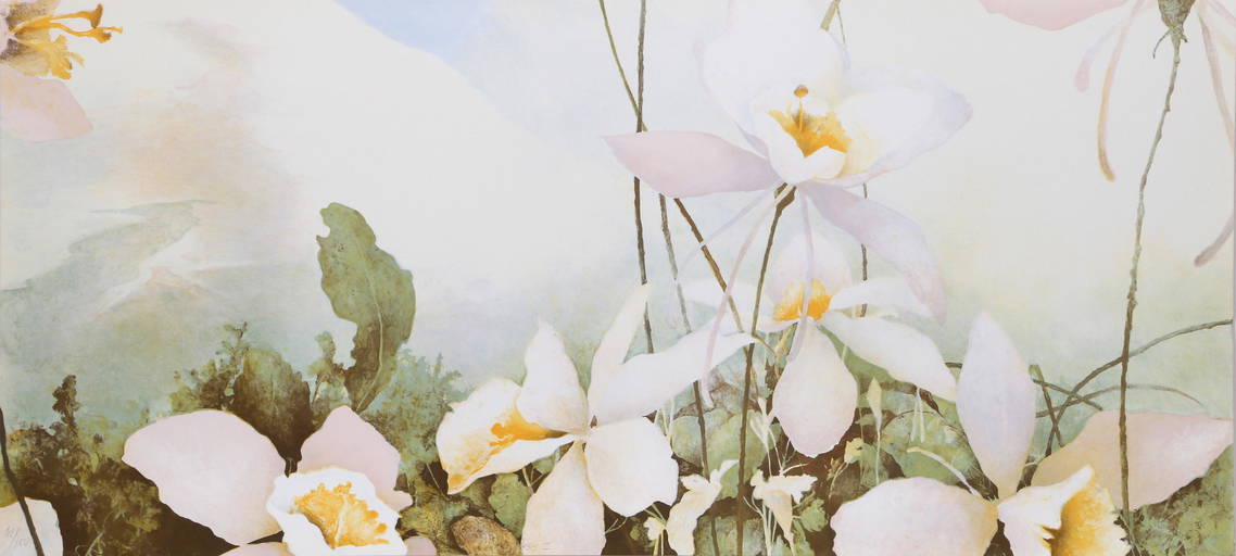 Deborah Kogan Ray, Logan Pass I, Lithograph (#0004) on Mar 16, 2022 ...