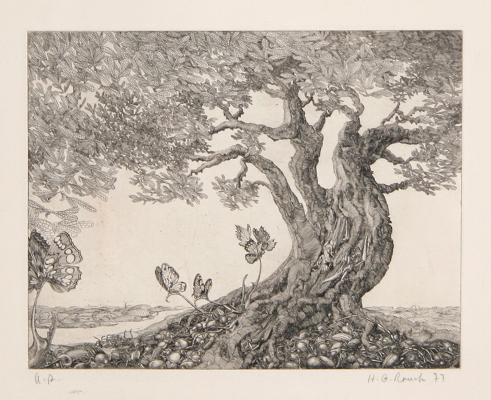 Hans Georg Rauch, Butterflies, Etching With Aquatint