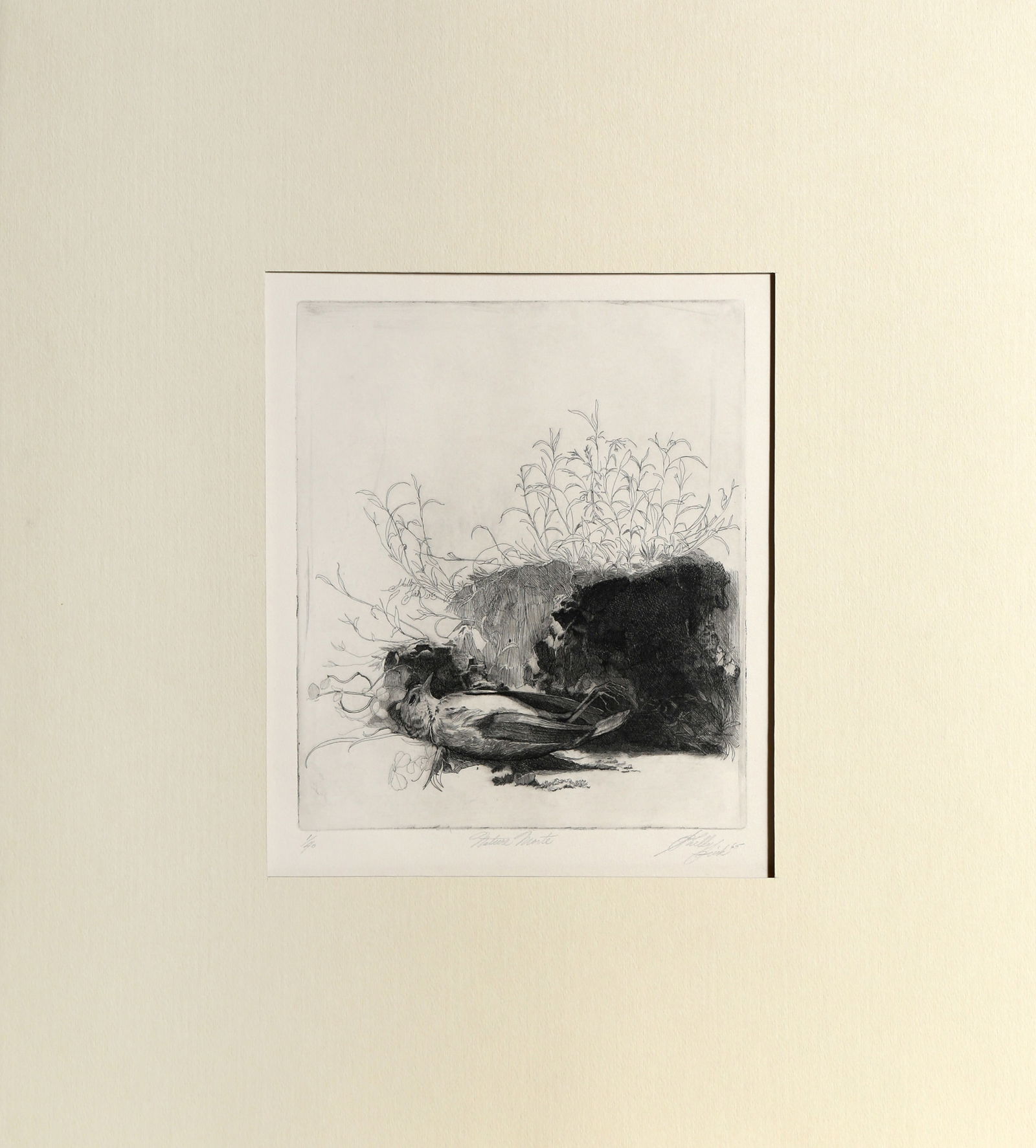 Sheldon 'shelly' Fink, Nature Morte , Etching On Paper Auction