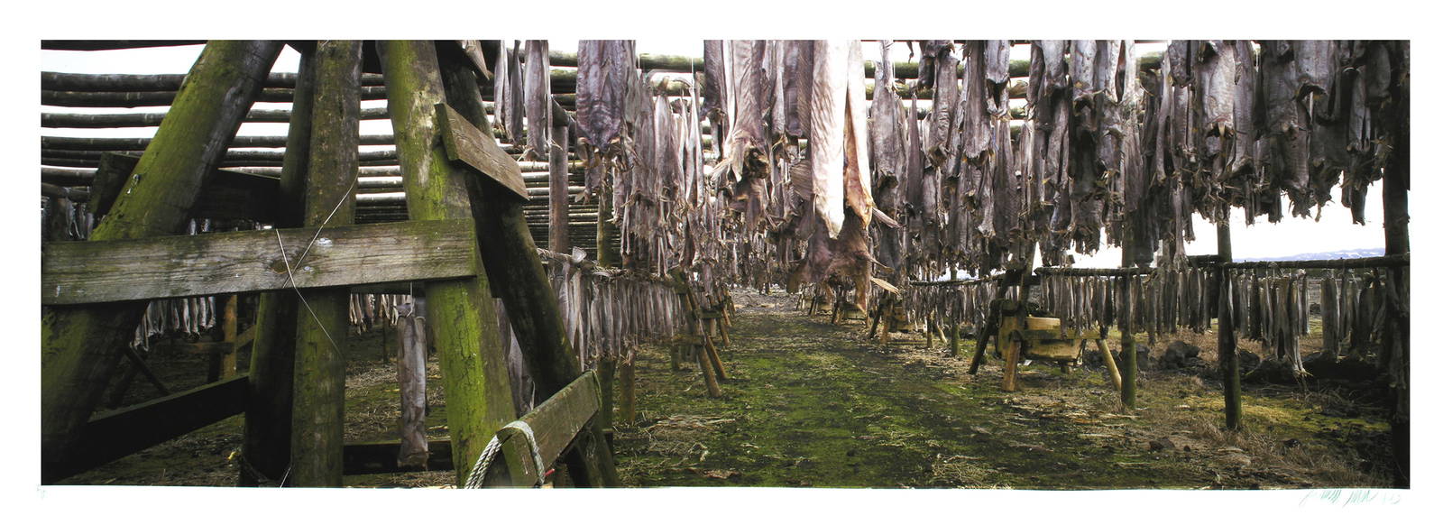 Jonathan Singer, Iceland - Fish Drying Racks, Photograph Auction