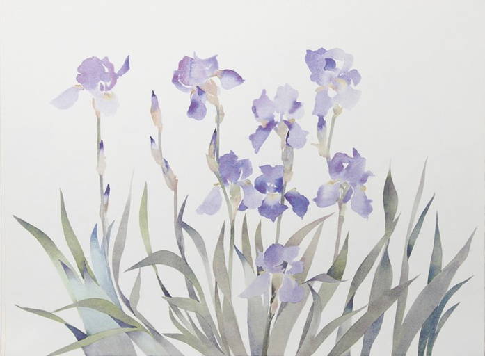Susan Headley Van Campen, Irises, Lithograph
