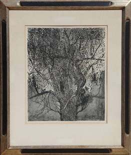Leonard Baskin, Tree, Etching