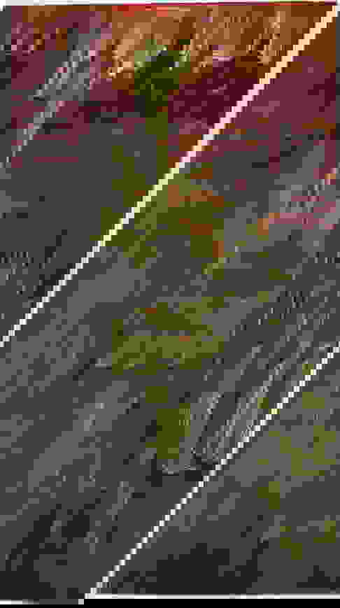 Ernst Fuchs, The Fall Of Sodom & Gomorrah, Oil/panel Auction