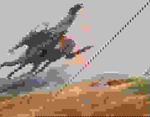 Gerald Mccann (1916-1995) American Auction