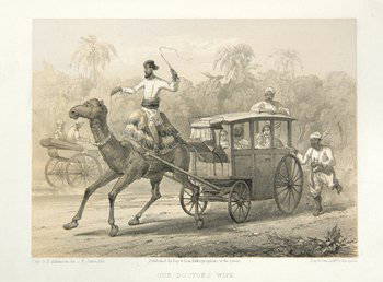 Atkinson.curry And Rice,40 Lith Pls, C.1860